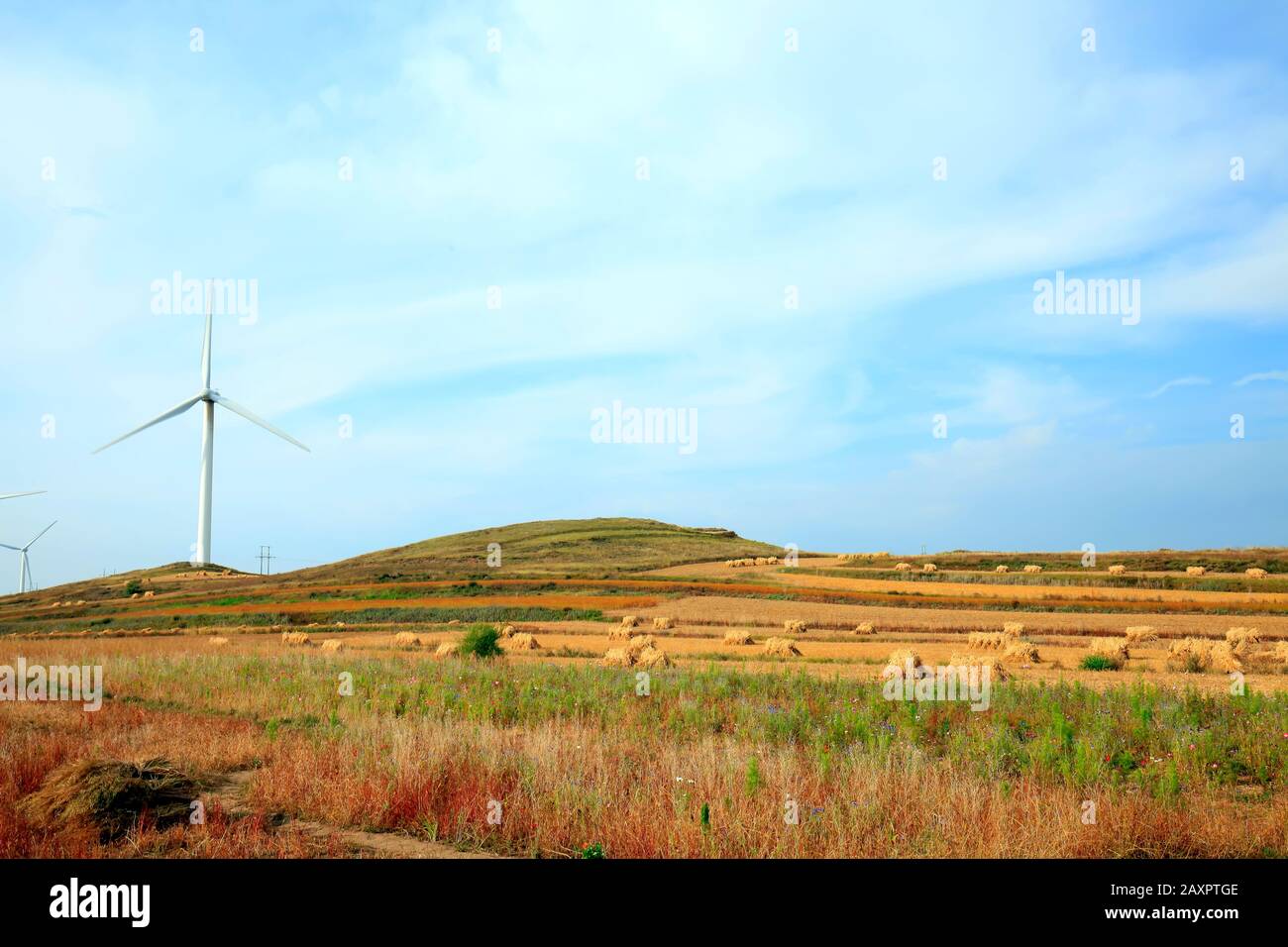 Autumn terraces and wind turbines Stock Photo - Alamy