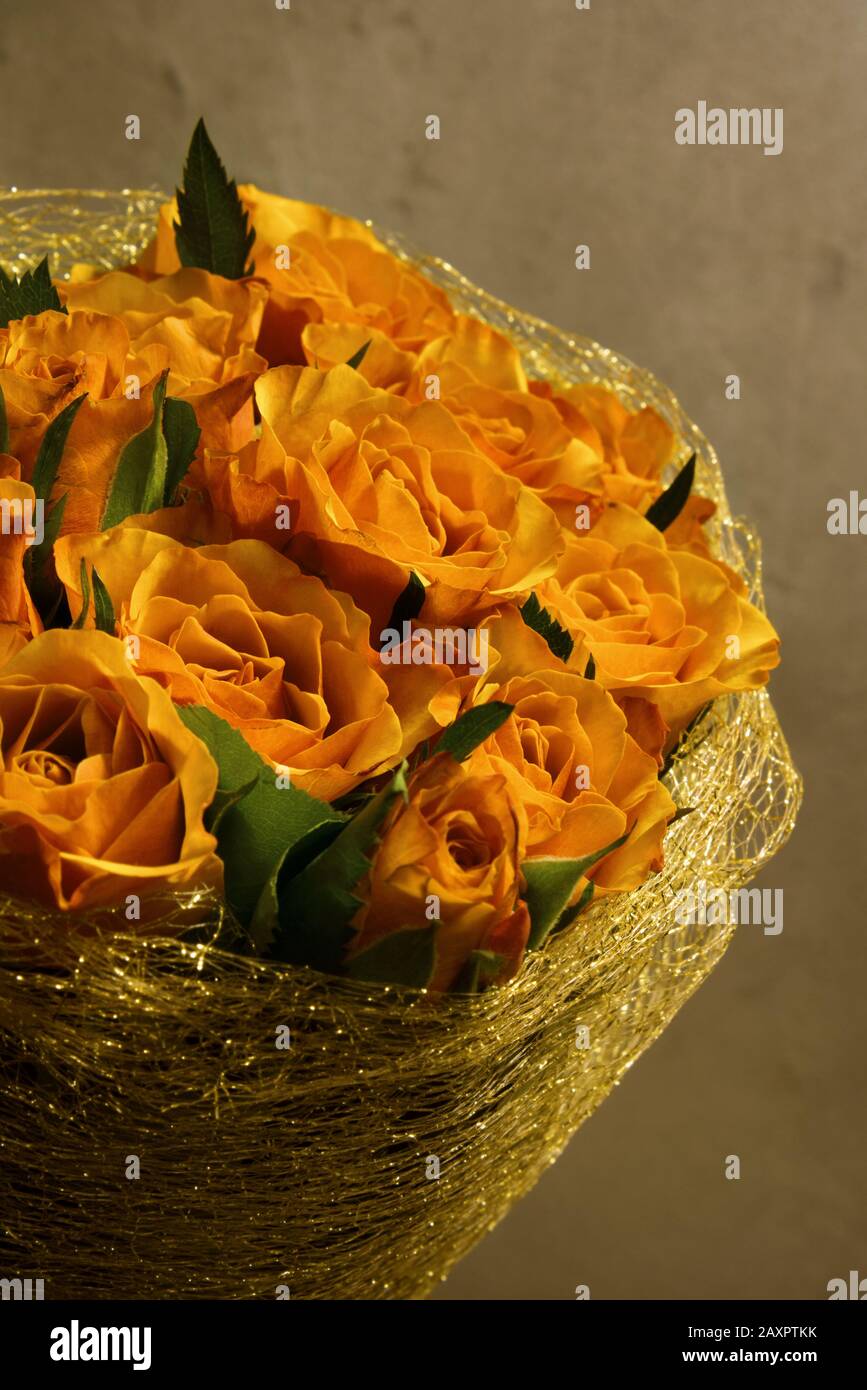 Tea roses hi-res stock photography and images - Alamy