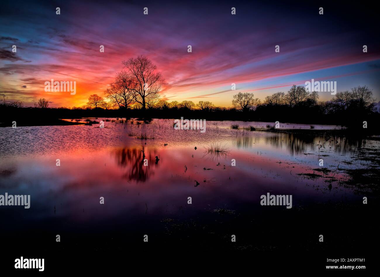 Norfolk river Wensum flood plains sunset Stock Photo - Alamy