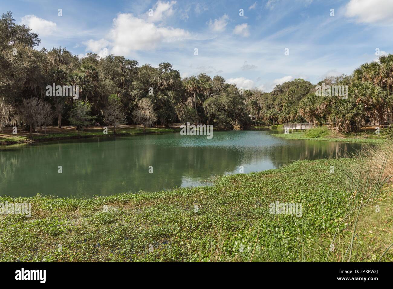 Gemini Springs Park, DeBary Florida USA Stock Photo - Alamy