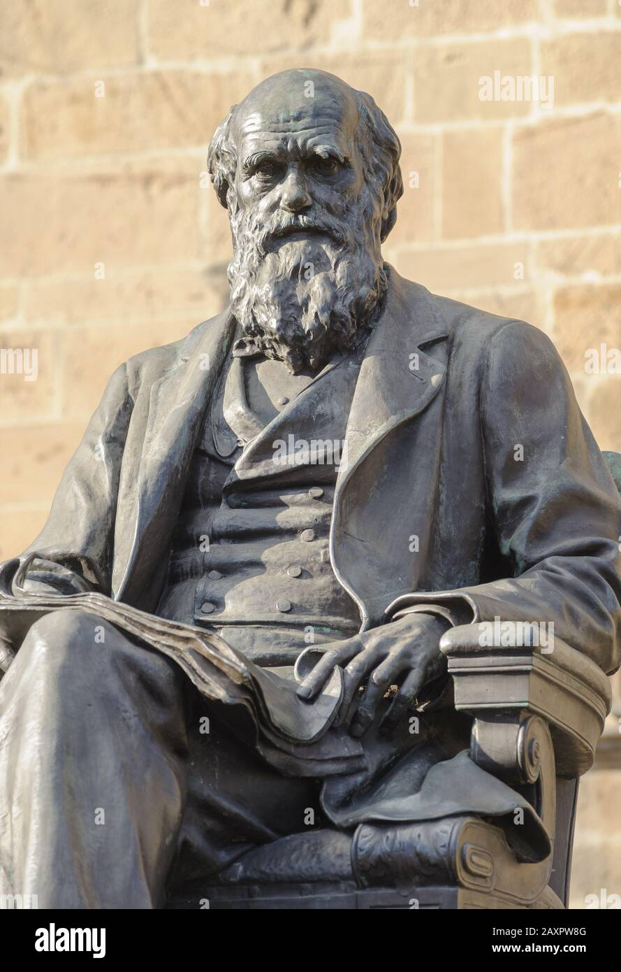 Statue of Charles Darwin in his birthplace, the medieval market town of ...