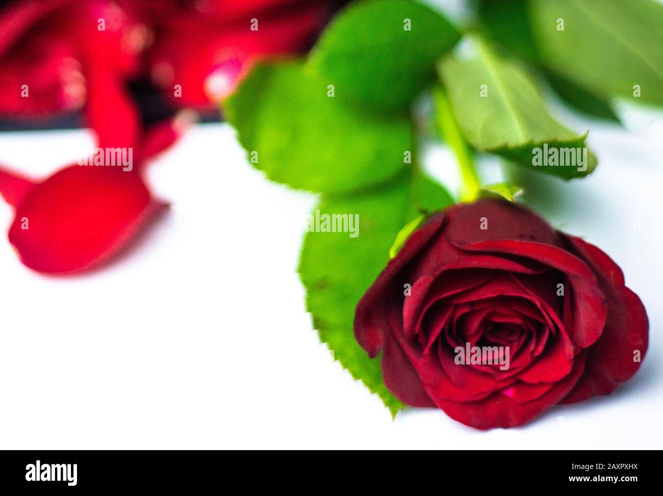 Vd display hi-res stock photography and images - Alamy