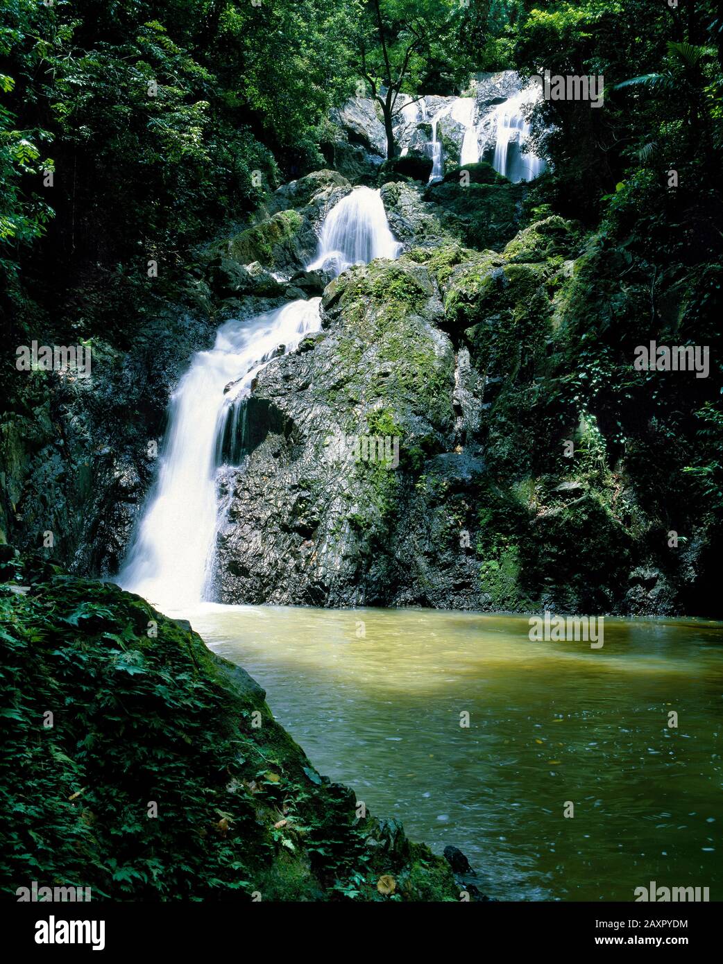 Argyle line hi-res stock photography and images - Alamy