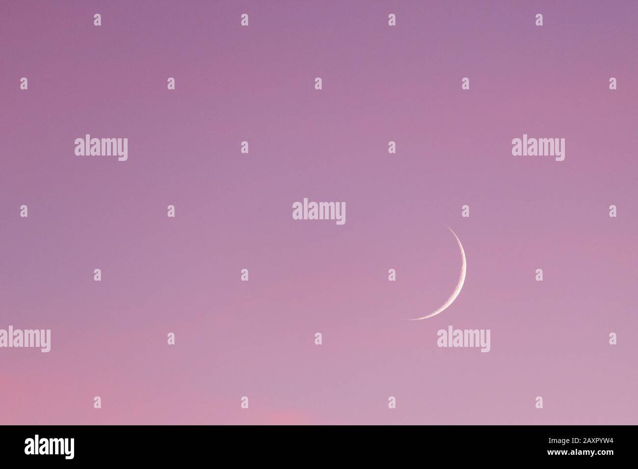 Crescent moon in purple sunset Stock Photo - Alamy