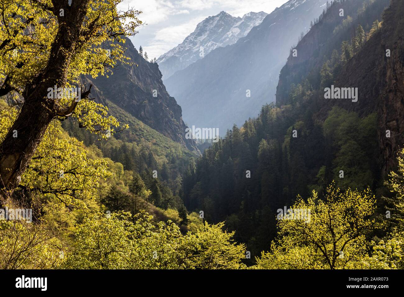 Alpine Mountain System