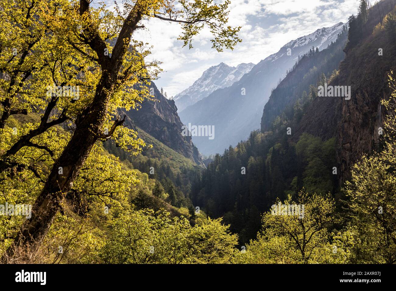 Landscape of deep river valley and alpine mountains, Nepal Himalaya ...