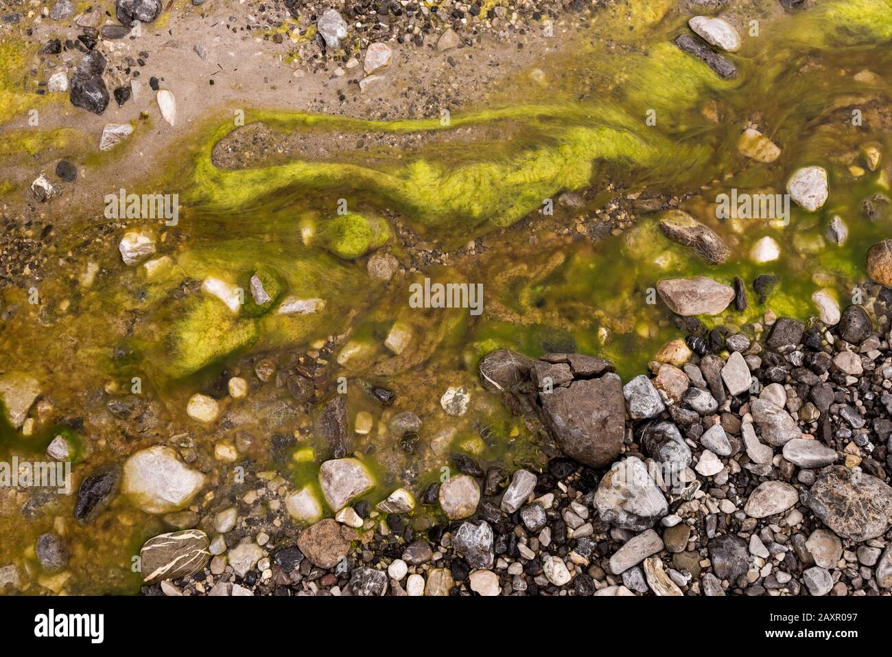 Algae mountain hi-res stock photography and images - Alamy
