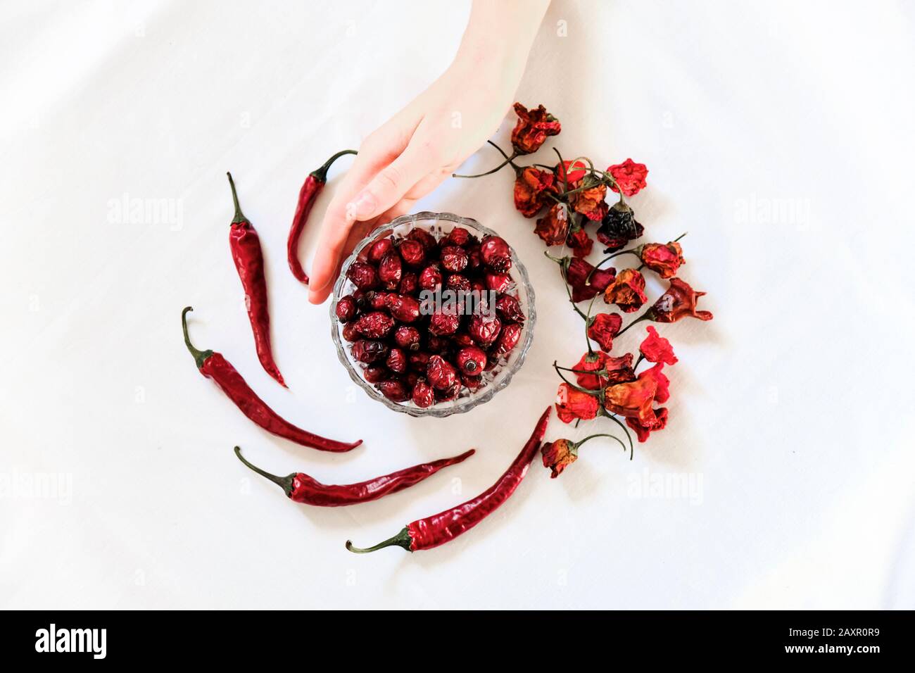 Dried red chili peppers and rose hips (berry) on white background Stock ...