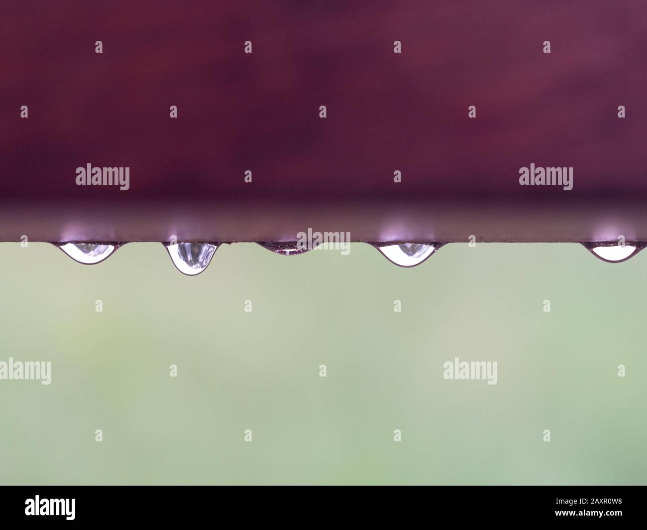 Water drops, Raindrops hanging from wooden railing, dripping Stock ...