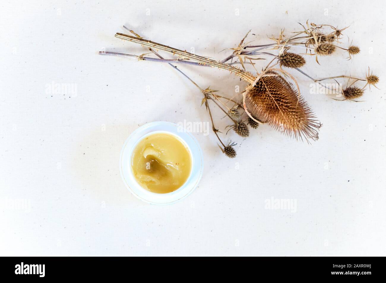 Natural organic salve (balm, cream) on white background with thistle ...