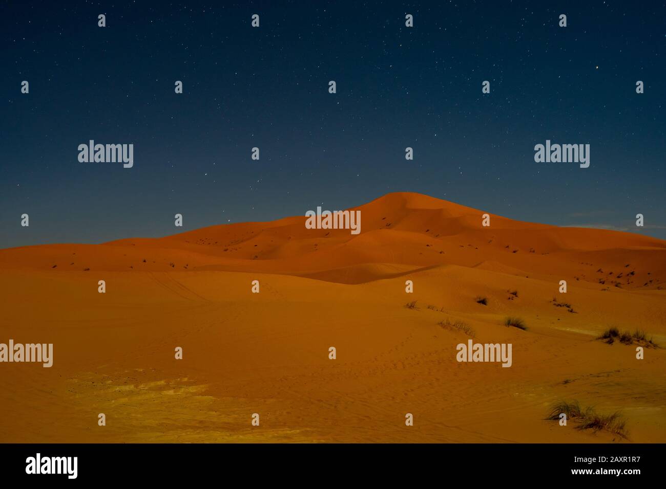 Sahara desert at night hi-res stock photography and images - Alamy