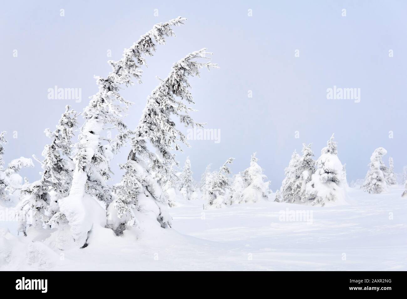 Bright winter sky hi-res stock photography and images - Alamy