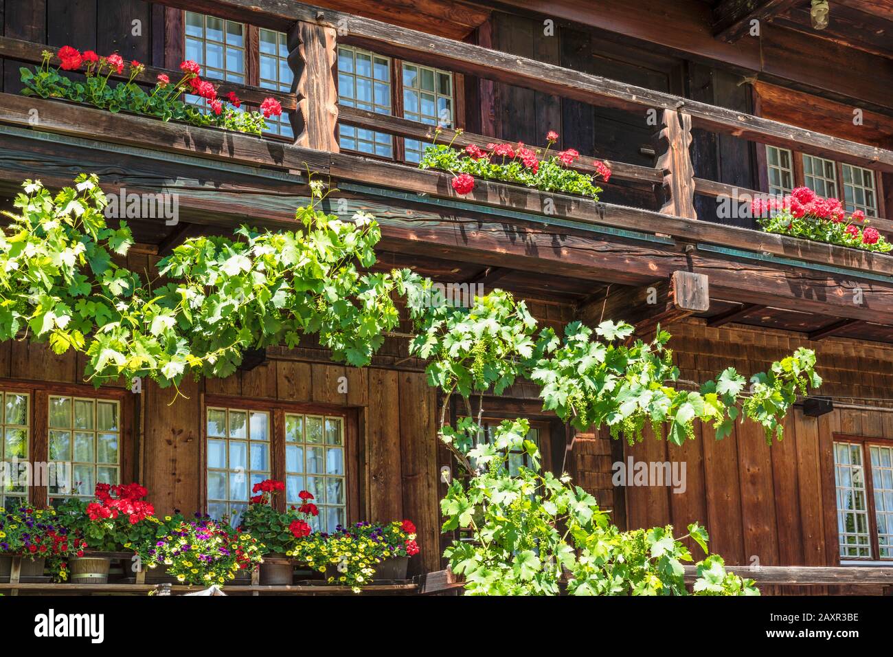 Oil Mill, Simonswald, Black Forest, Baden-Wurttemberg, Germany Stock ...