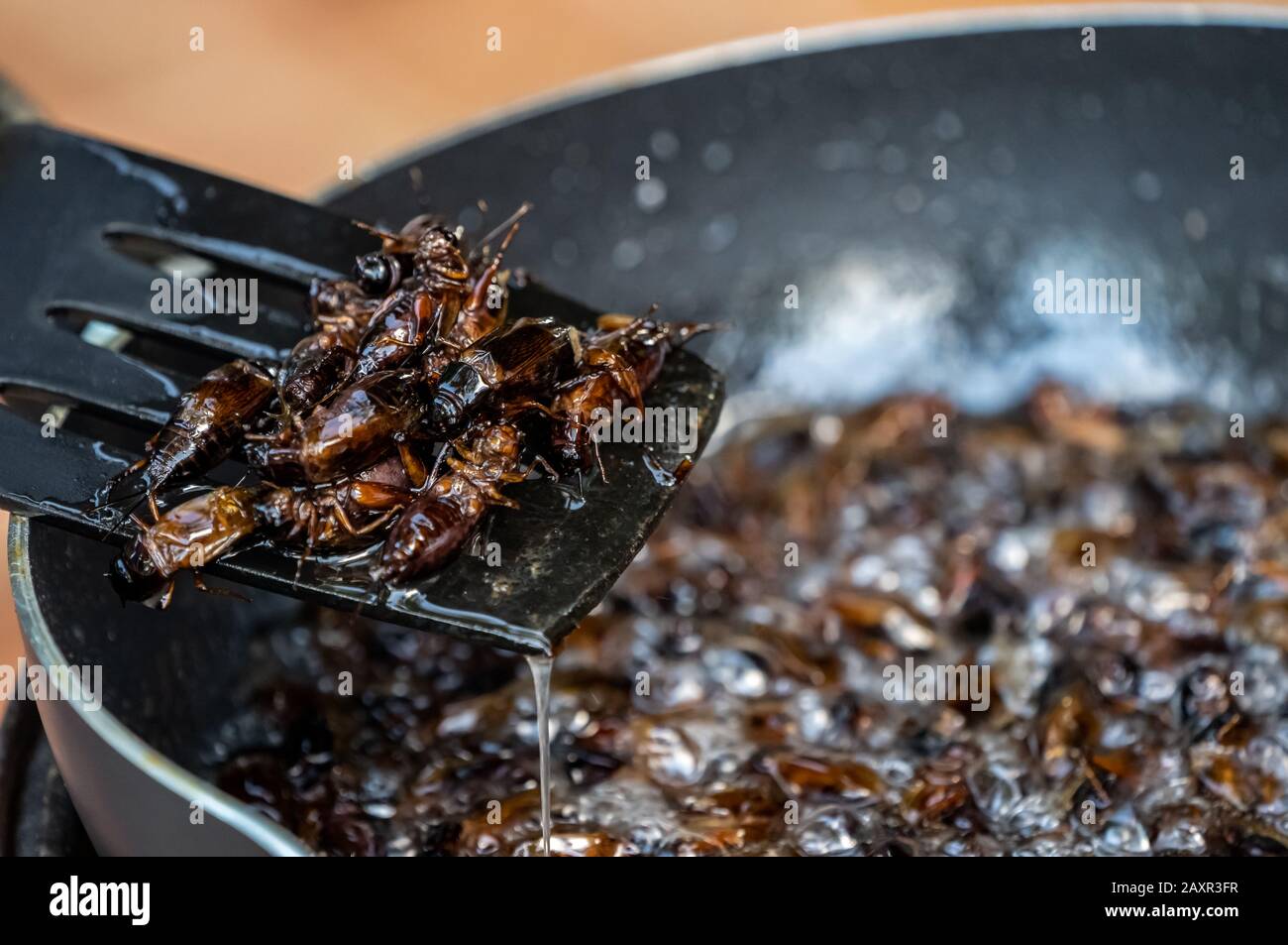 Southeast Asia, Thailand fried crickets are cooked by oil in the pan ...