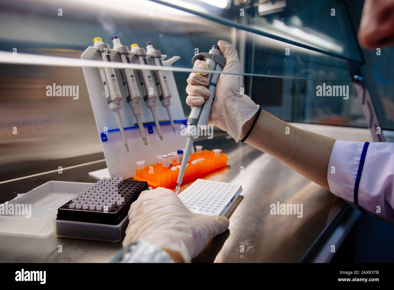 Agarose gel electrophoresis hi-res stock photography and images - Alamy