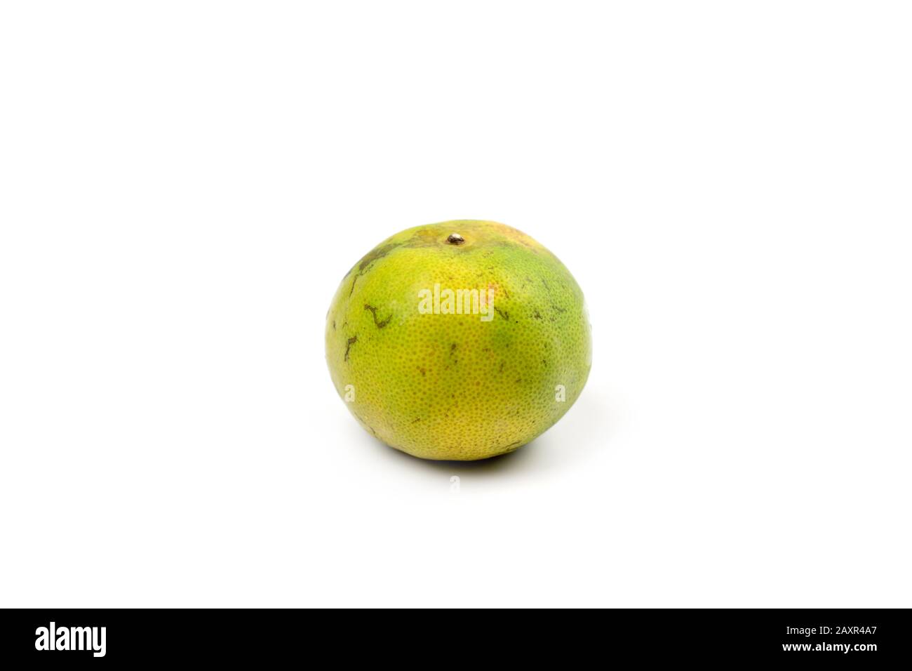 Scar on skin Cut Out Stock Images & Pictures - Alamy