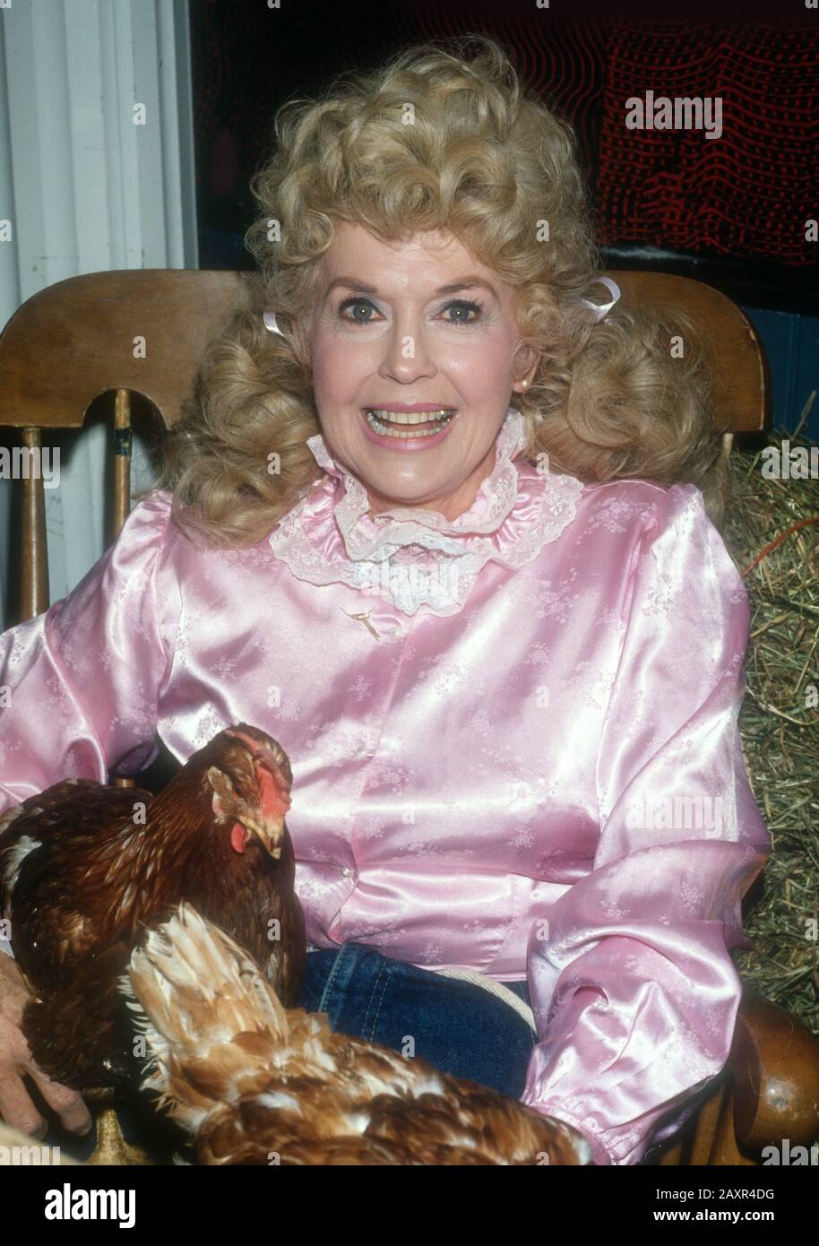 Donna douglas hi-res stock photography and images - Alamy