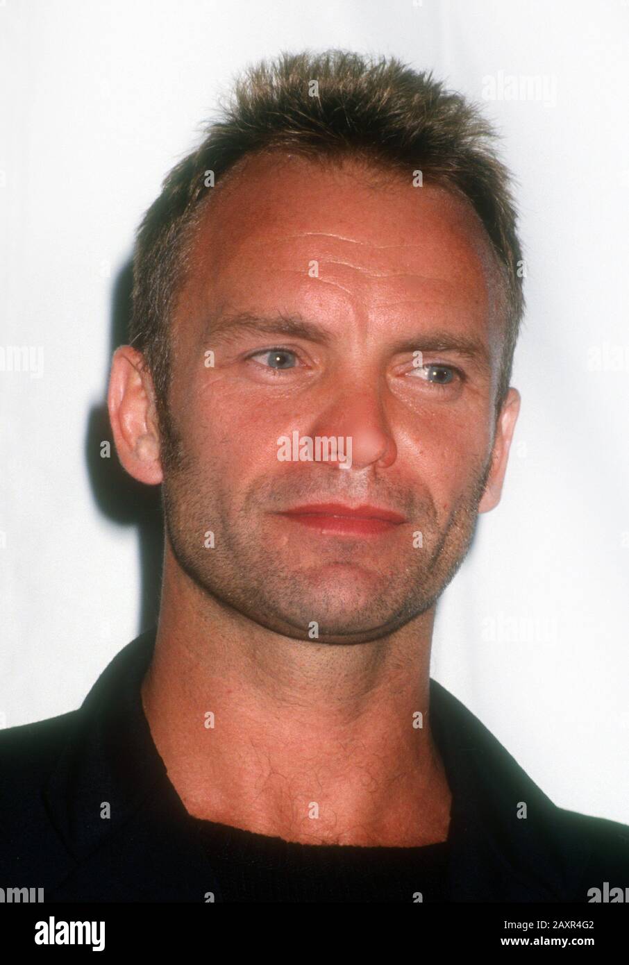 Sting, 1993, Photo By Michael Ferguson/PHOTOlink / MediaPunch Stock ...