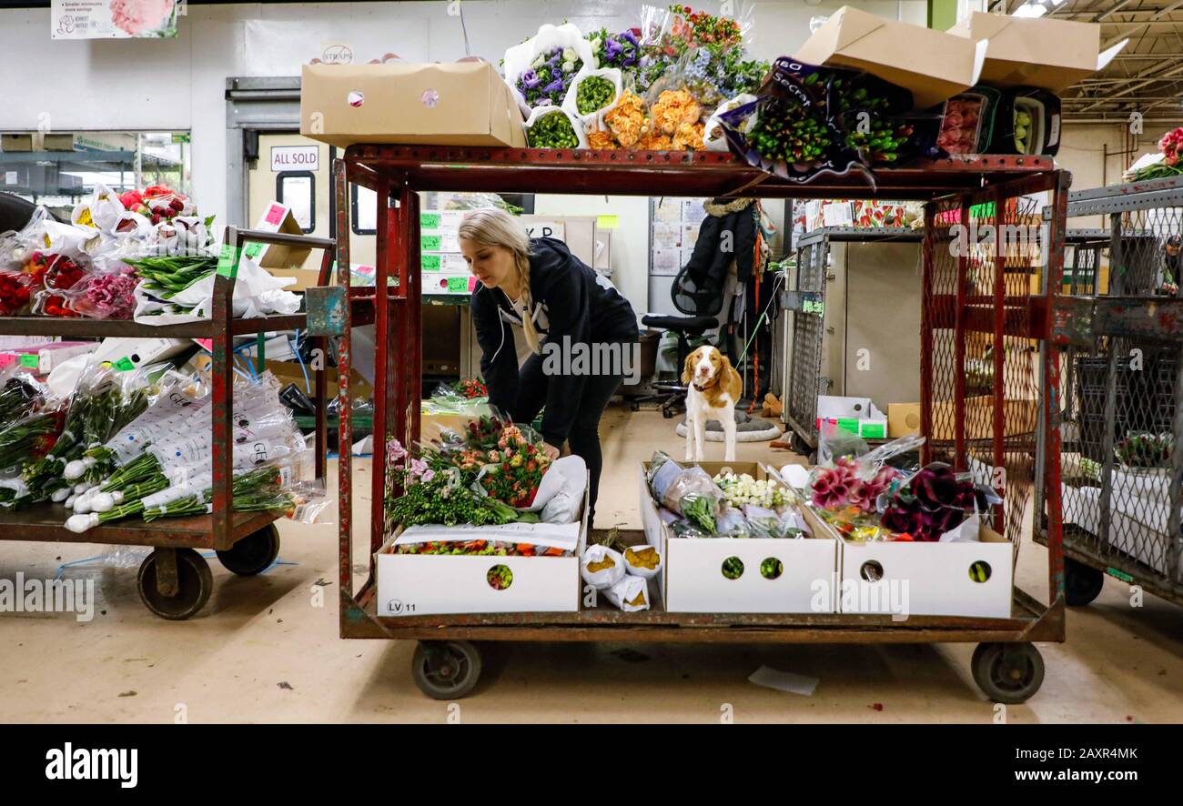 Chicago, USA. 12th Feb, 2020. A florist loads up a cart at a floral ...