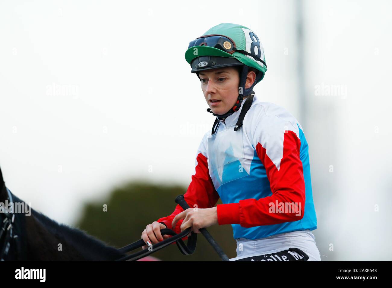Chiba, Japan. 12th Feb, 2020. Mickaelle Michel Horse Racing : Funabashi ...