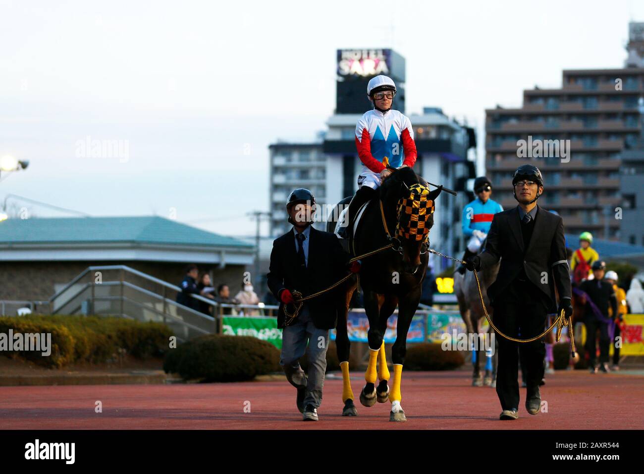 Chiba, Japan. 12th Feb, 2020. Mickaelle Michel Horse Racing : Funabashi ...