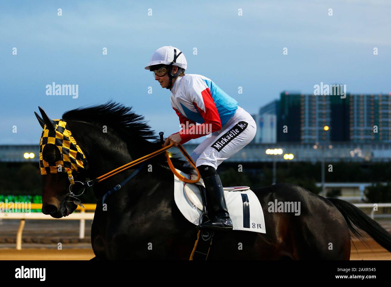 Chiba, Japan. 12th Feb, 2020. Mickaelle Michel Horse Racing : Funabashi ...