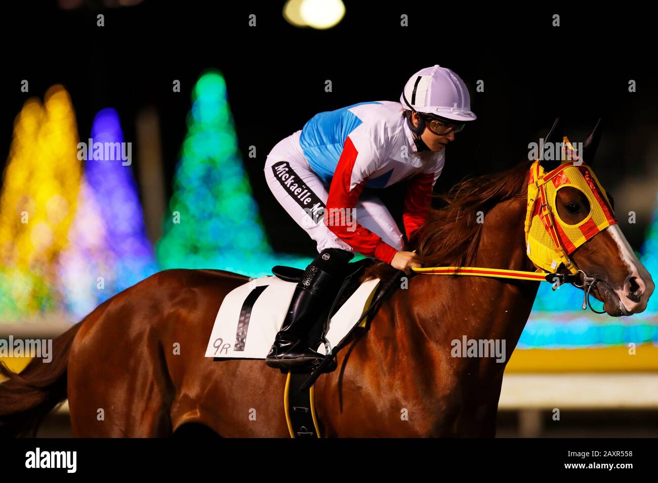Chiba, Japan. 12th Feb, 2020. Mickaelle Michel Horse Racing : Funabashi ...