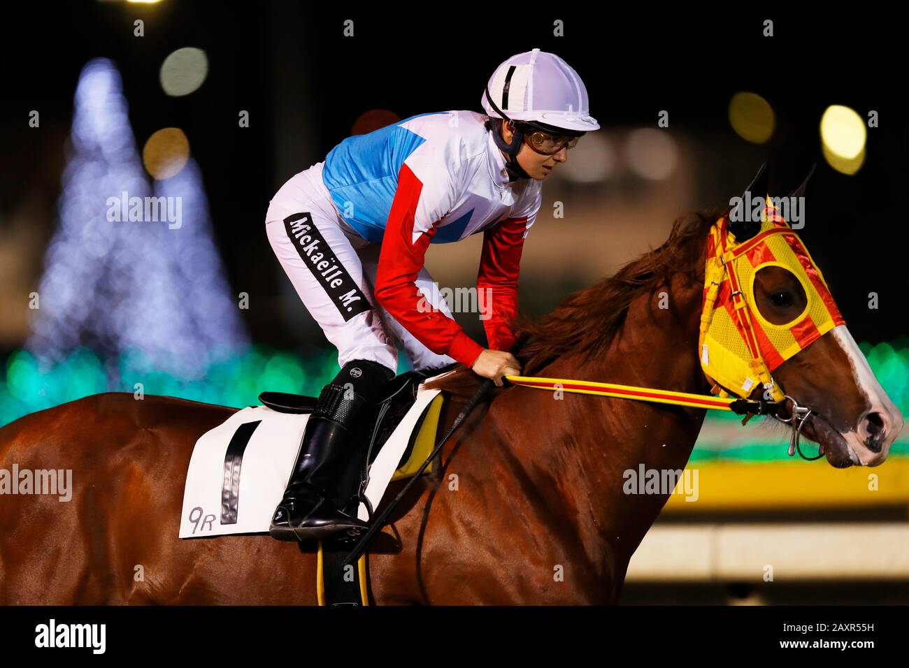 Chiba, Japan. 12th Feb, 2020. Mickaelle Michel Horse Racing : Funabashi ...