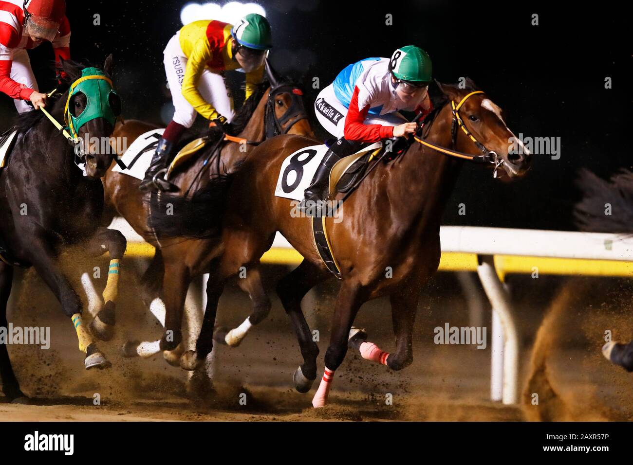 Chiba, Japan. 12th Feb, 2020. Mickaelle Michel Horse Racing : Funabashi ...