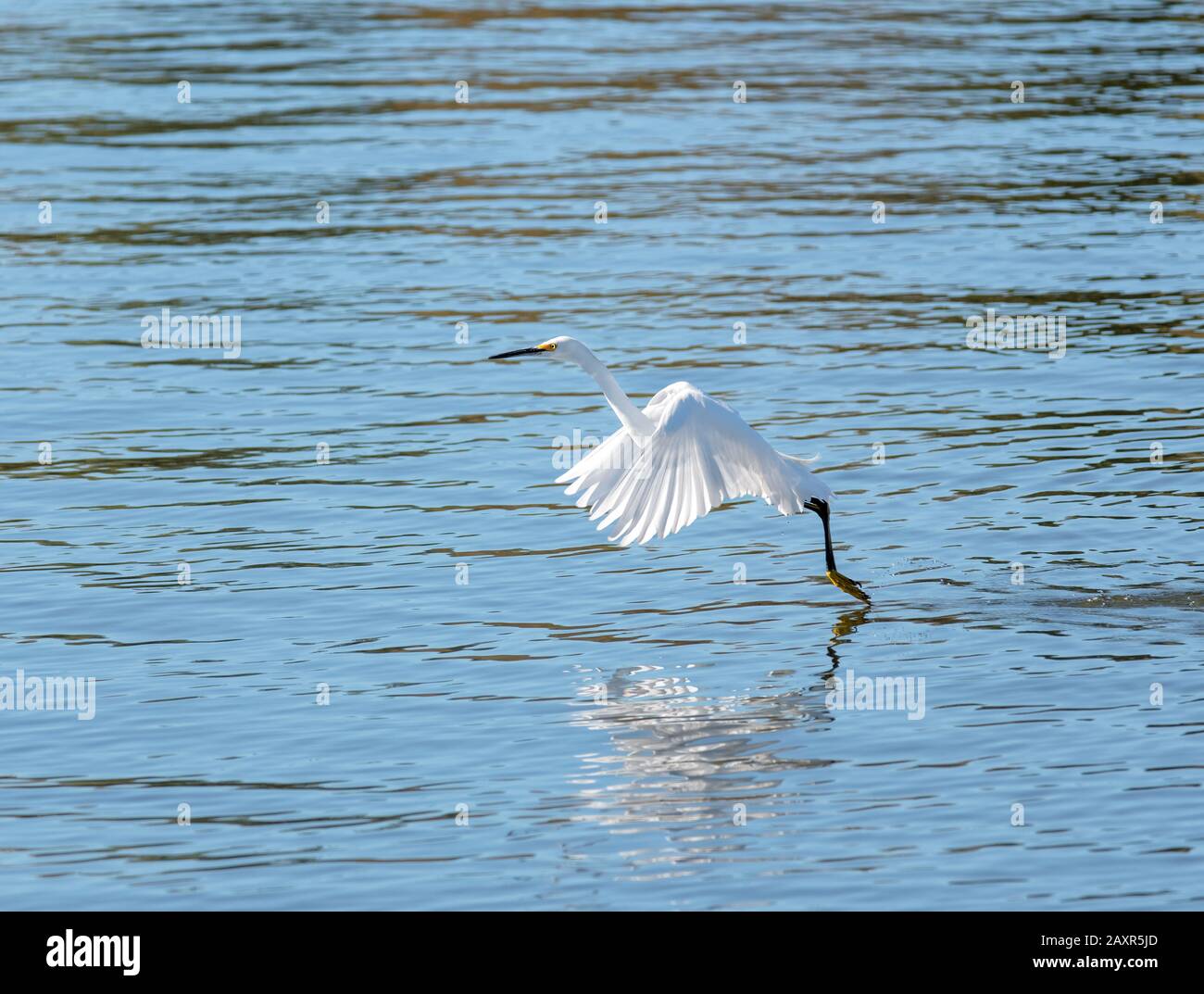 Balboa landing hi-res stock photography and images - Alamy