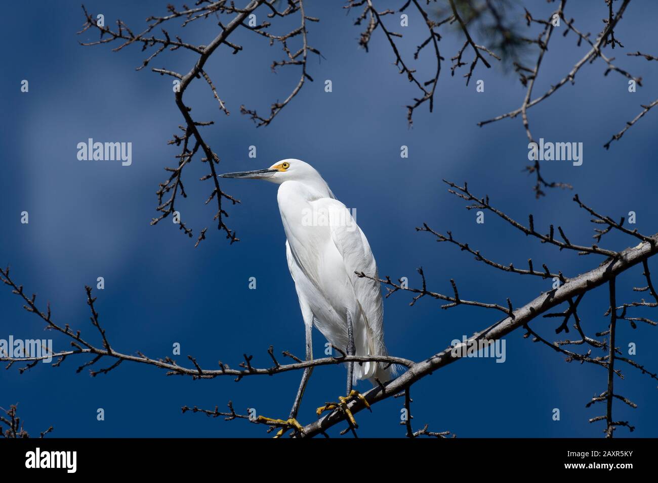Balboa landing hi-res stock photography and images - Alamy