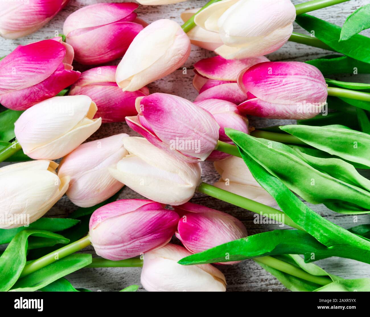 Filled frame of artificial pink tulips for love concept Stock Photo - Alamy