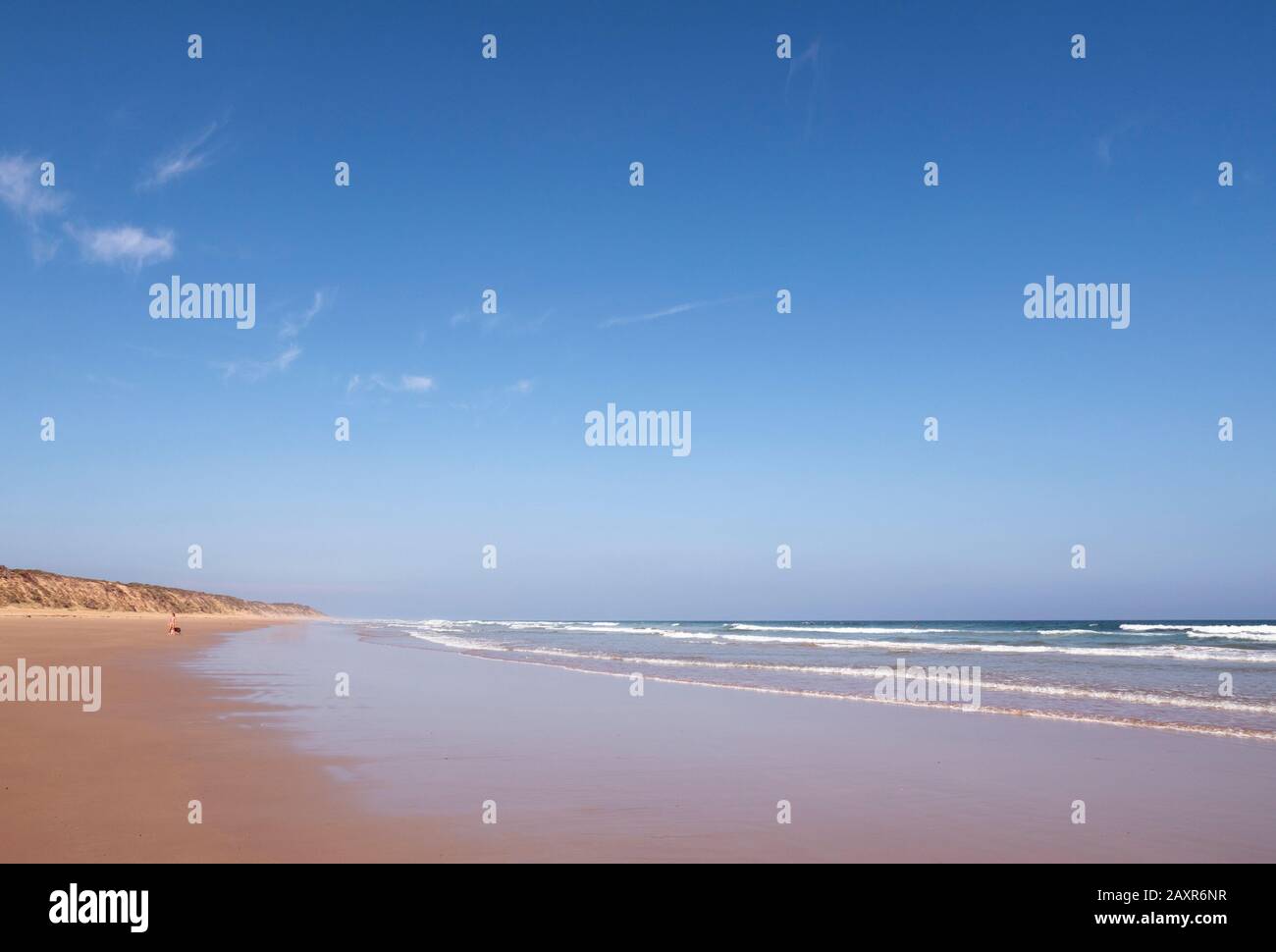 Endless beach on the Great Ocean Road, Australia Stock Photo - Alamy