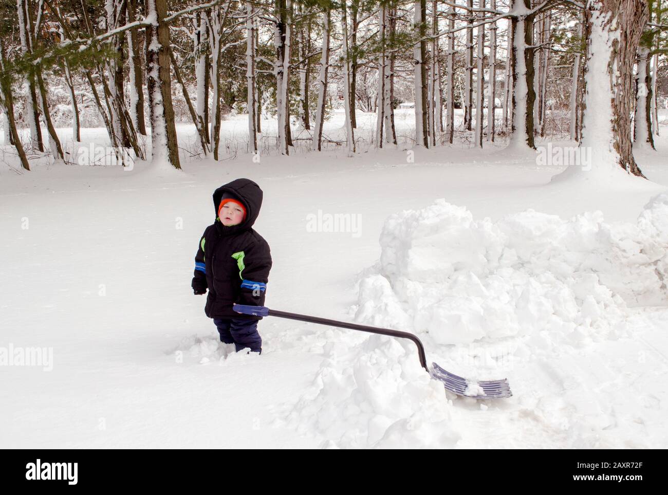 Sad boy tries to shovel snow but this snow is too hard for him Stock ...