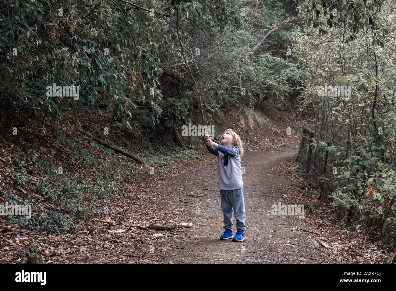Young boy playing with stick outdoors Stock Photo - Alamy