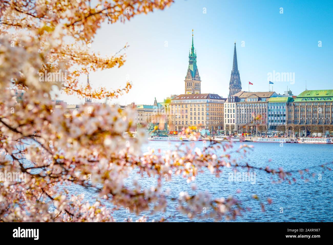 Germany, Hamburg, downtown, Alster, Inner Alster, cherry blossom Stock ...