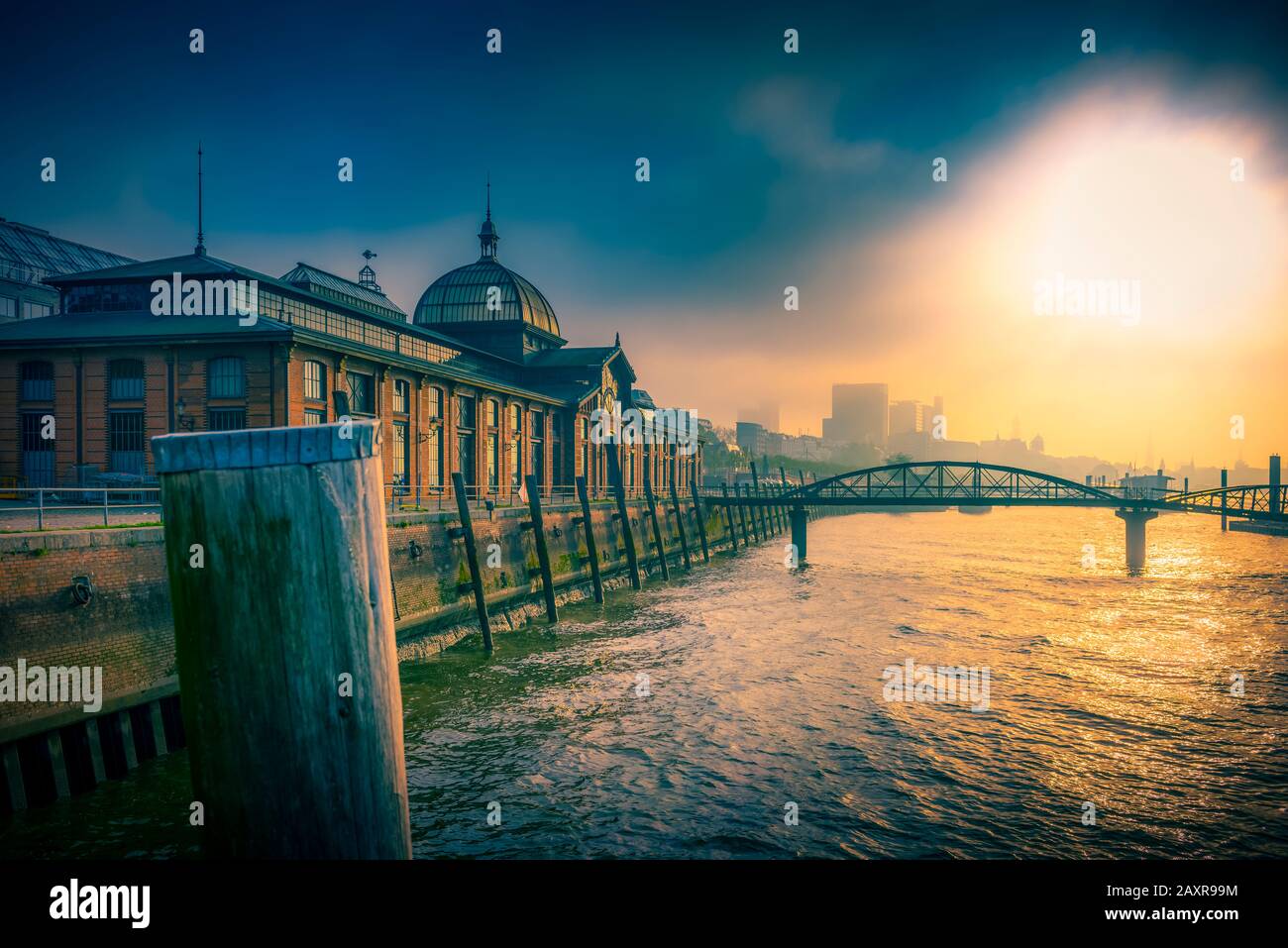 Germany, Hamburg, Elbe, Altona, fish market, auction, auction hall ...