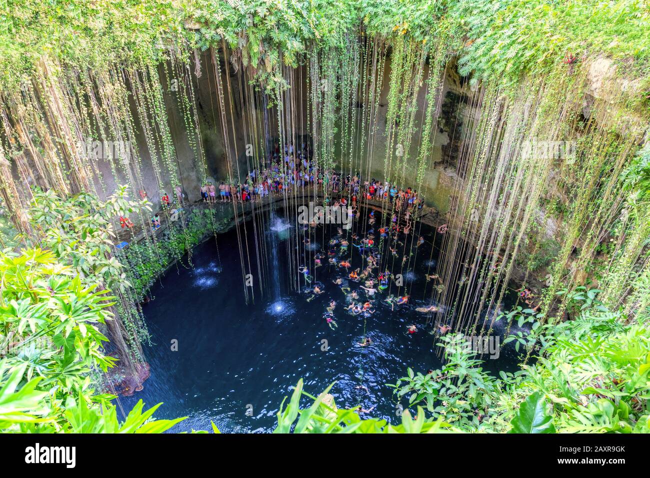 Swimming at Cenote Ik Kil in Yucatan, Mexico, a natural pit, or ...
