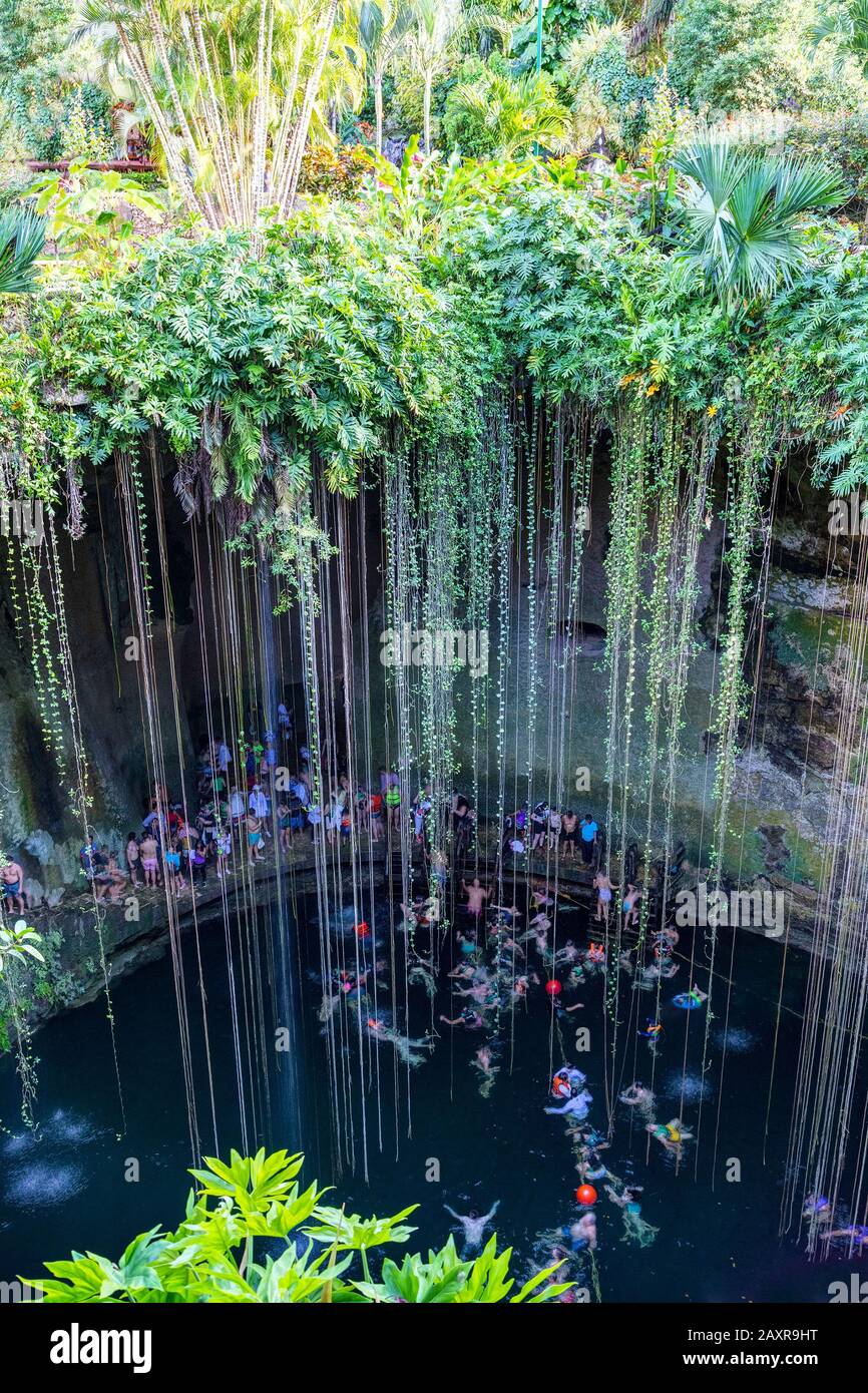 Swimming at Cenote Ik Kil in Yucatan, Mexico, a natural pit, or ...