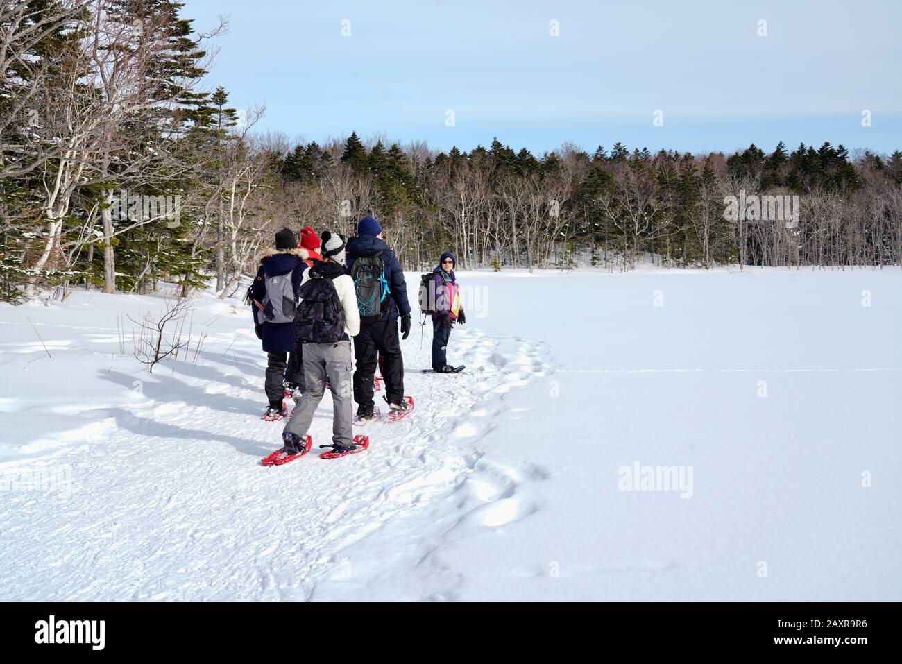 Hikers Hiking through snow covered Shiretoko Five Lakes in winter ...
