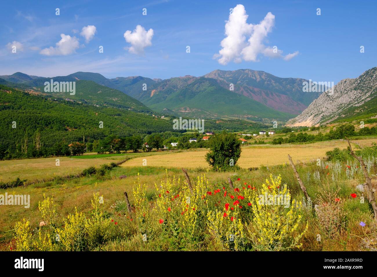 Dibra High Resolution Stock Photography and Images - Alamy
