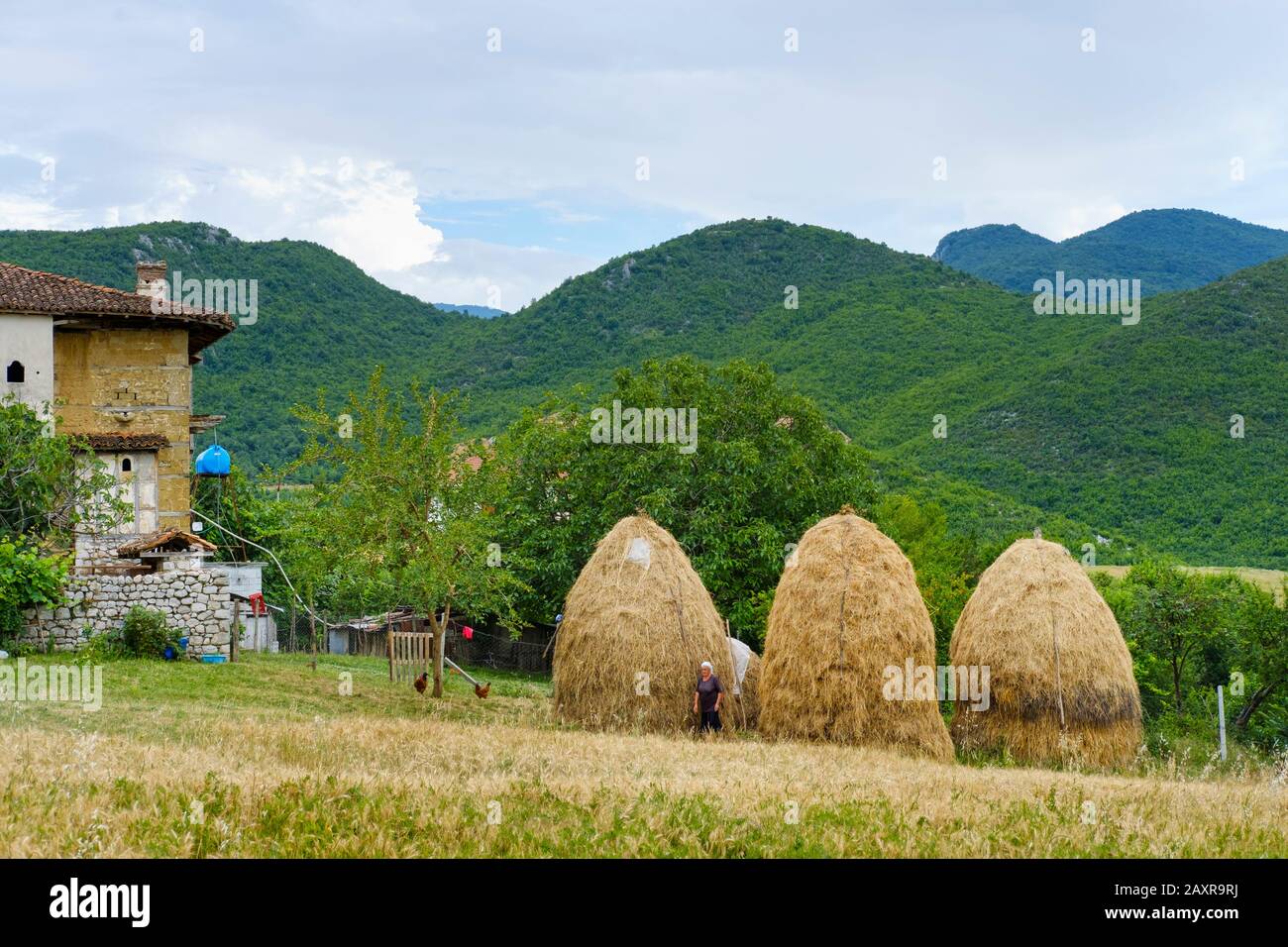 Dibra hi-res stock photography and images - Alamy