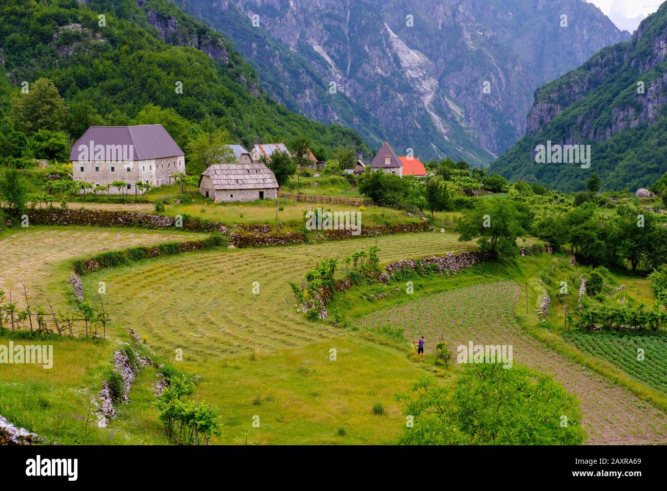Fields in Theth, Theth National Park, Albanian Alps, Prokletije, Qark ...