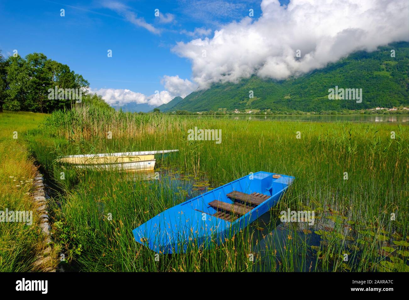Boats on the shore, Plavsko lake, Plavsko jezero, Plav, Montenegro ...