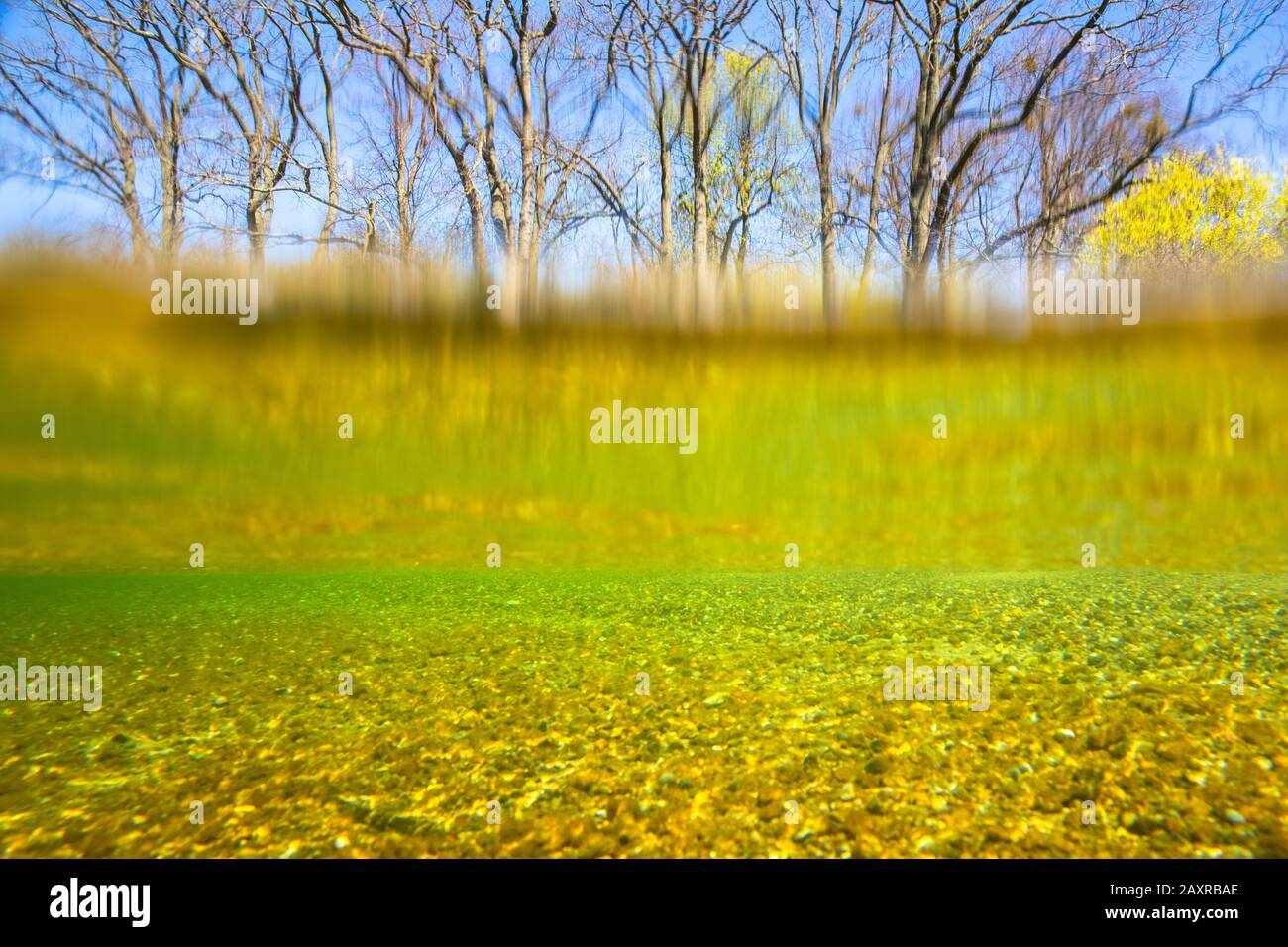 Lake, shore, spring, split picture, underwater Stock Photo - Alamy