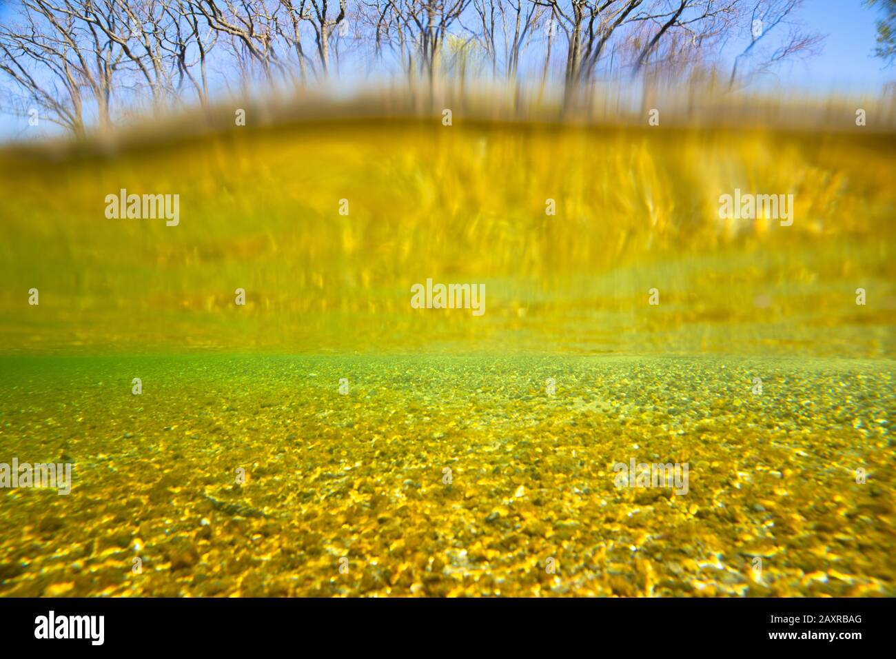 Lake, shore, spring, split picture, underwater Stock Photo - Alamy