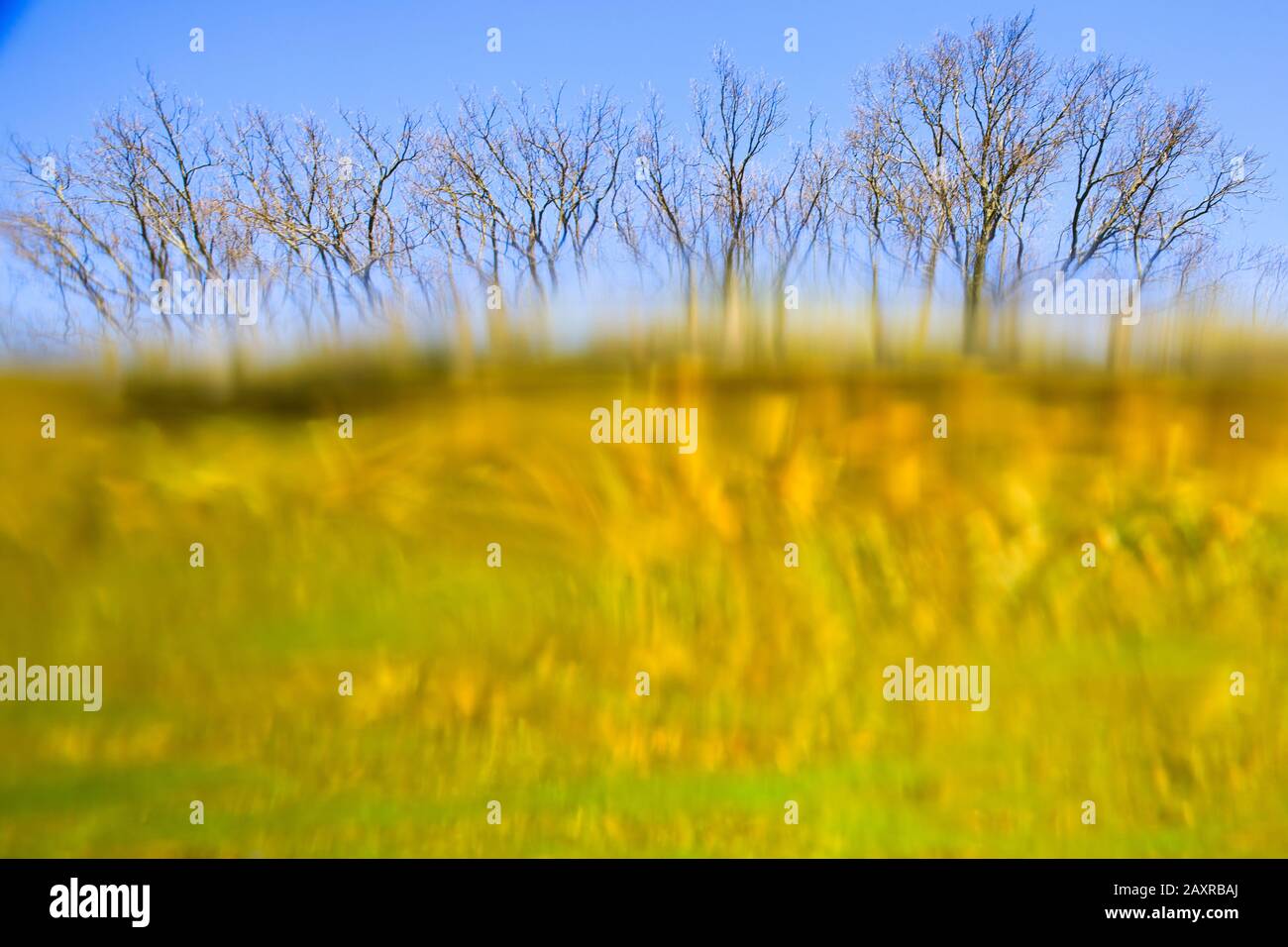 Lake, shore, spring, split picture, underwater Stock Photo - Alamy