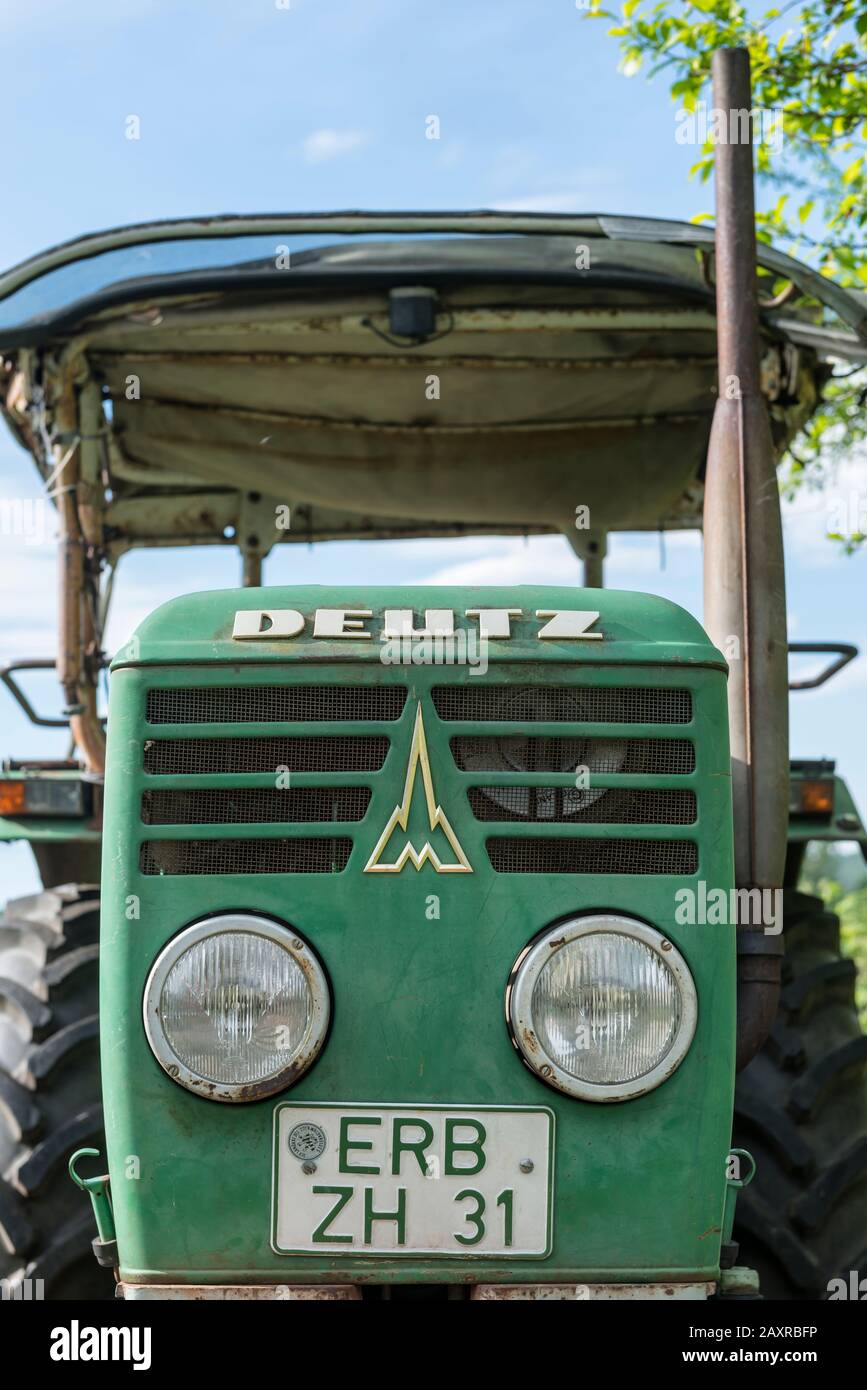 Bull dog logo hi-res stock photography and images - Alamy