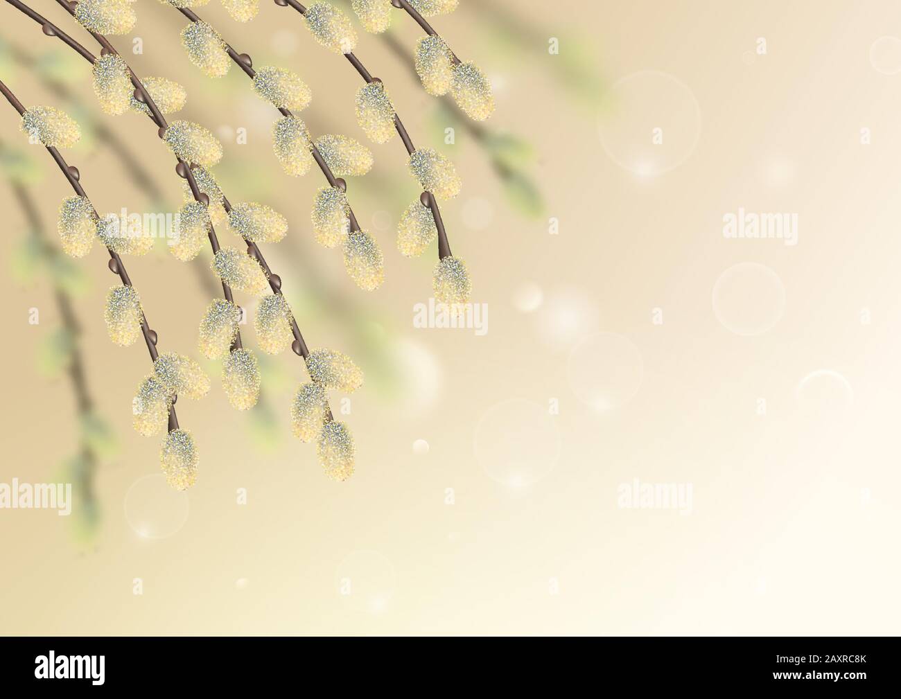 Spring bud Stock Vector Images - Alamy