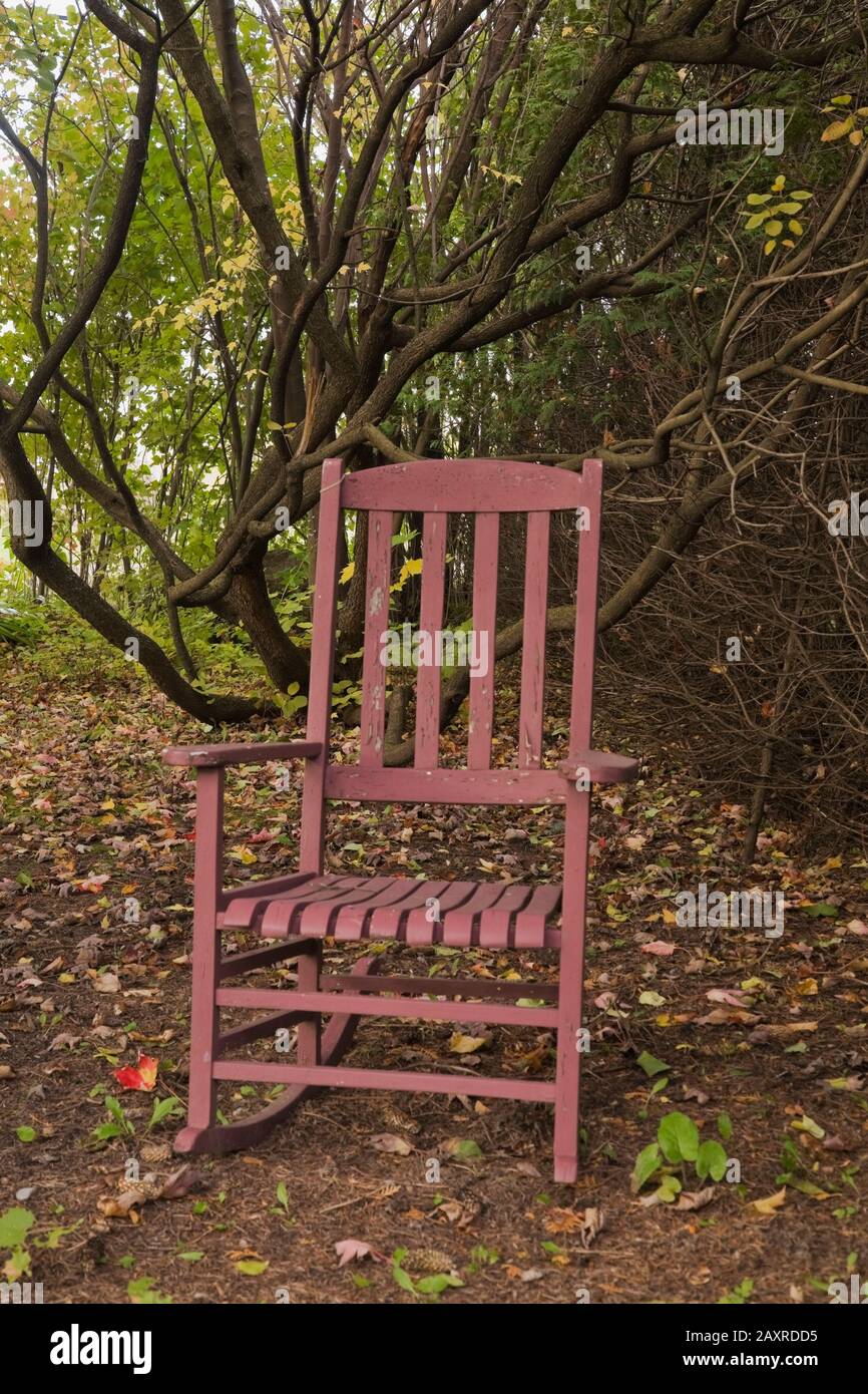 Old wooden burgundy antique rocking chair beneath a deciduous tree in ...